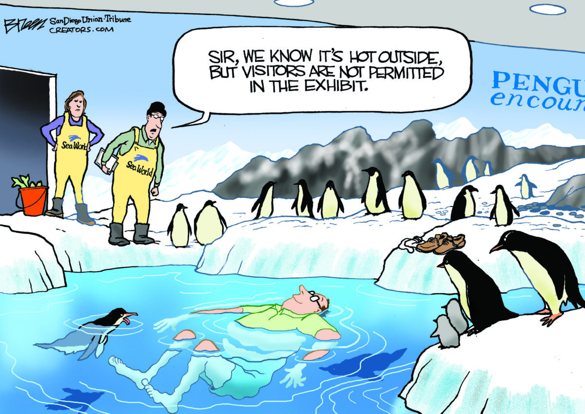 Cartoon: Extreme measures for cooling off | News, Sports, Jobs - Daily ...
